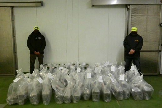 £53 million Cocaine Seizure, Man in Court